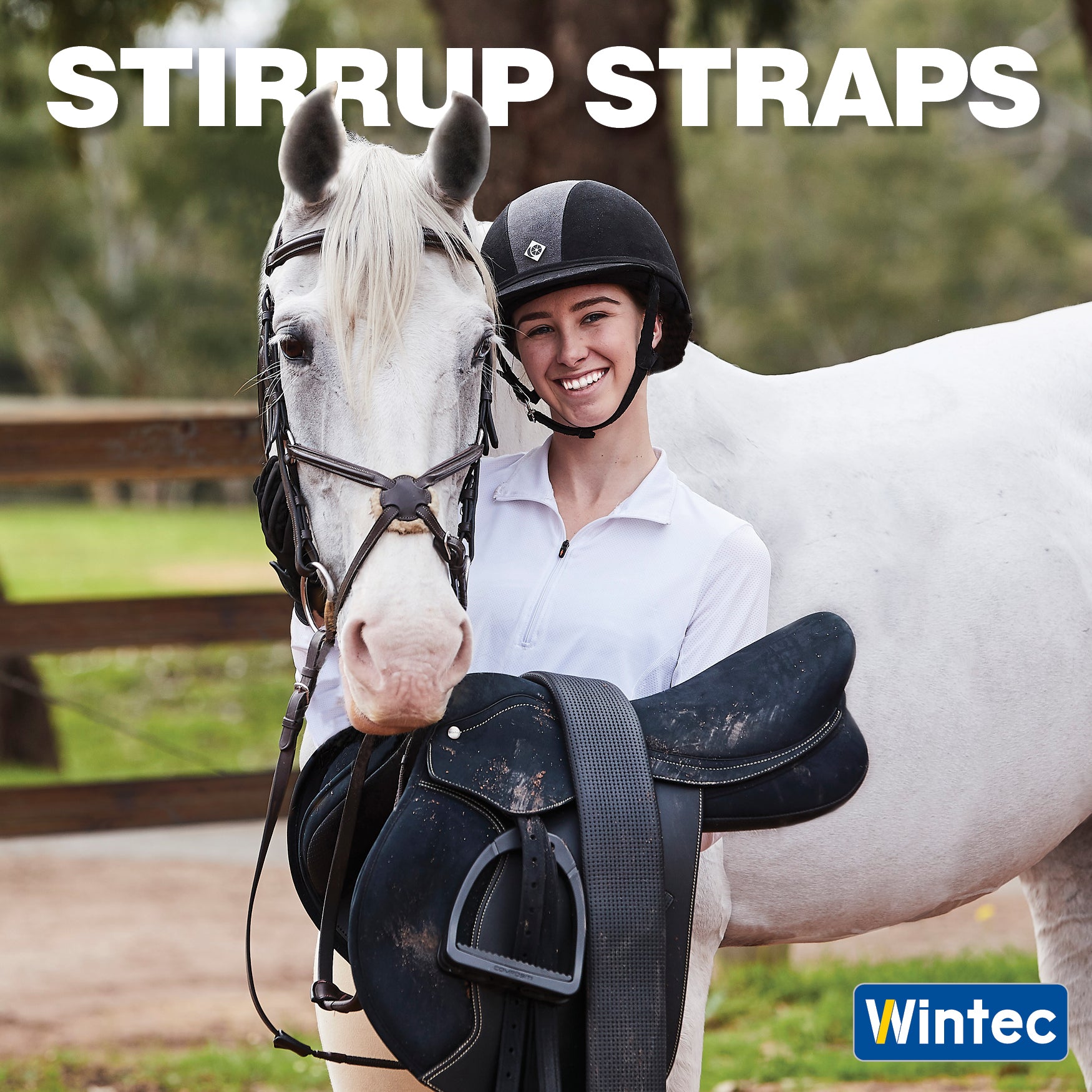 Stirrup Straps and Webbers – Wintec Saddles
